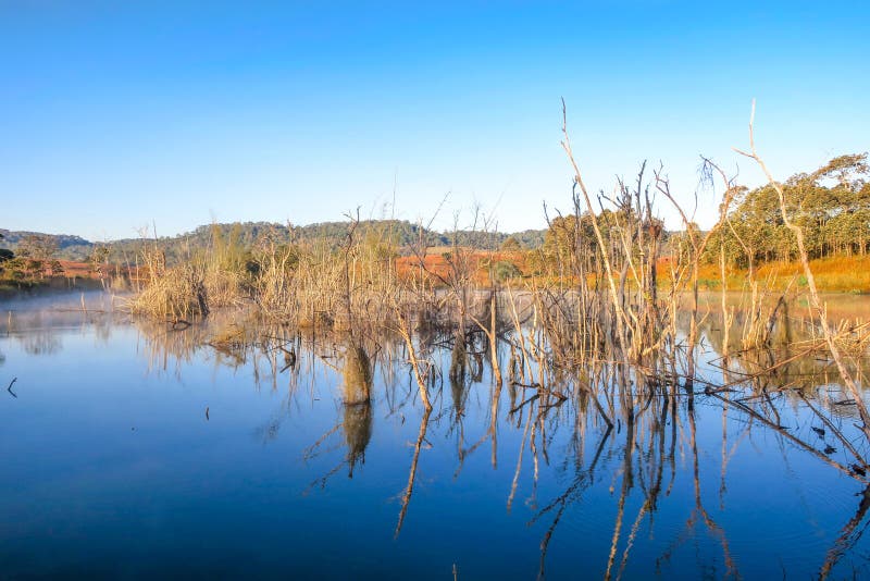 The Natural of Canal Reflected in the Water Stock Image - Image of ...