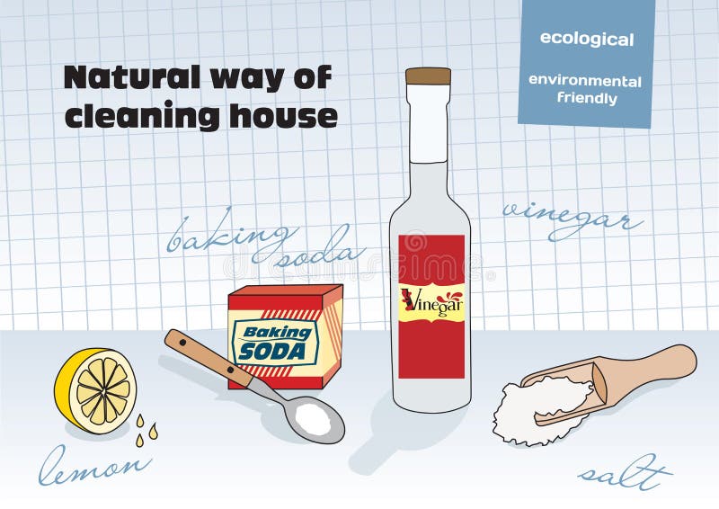 Natural way of cleaning stock vector. Illustration of nature - 28482975