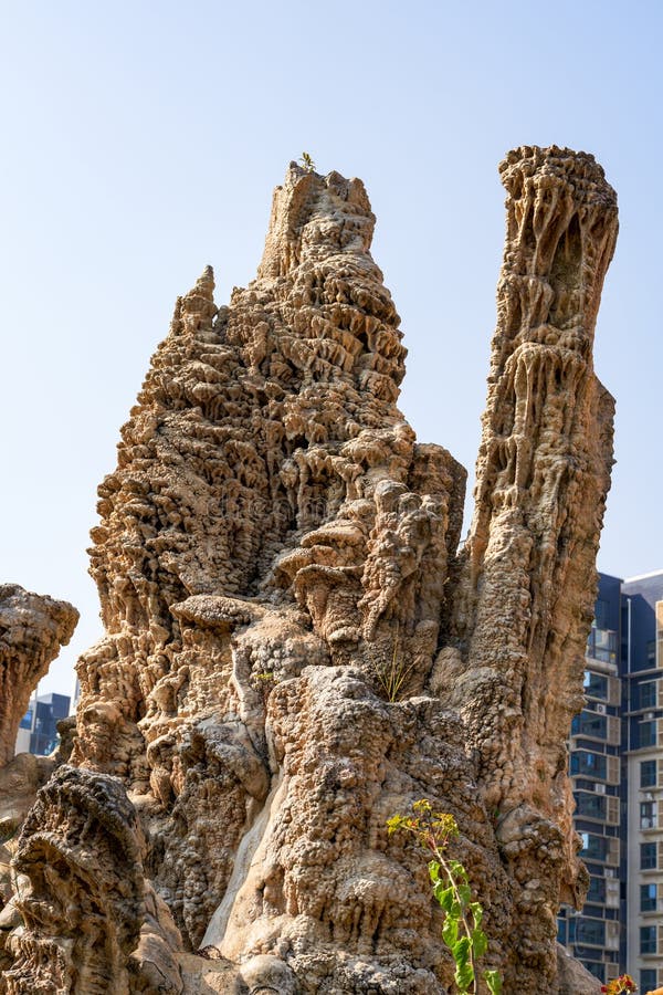 Natural Weathered Rocks in Various Forms in the Park Stock Photo ...