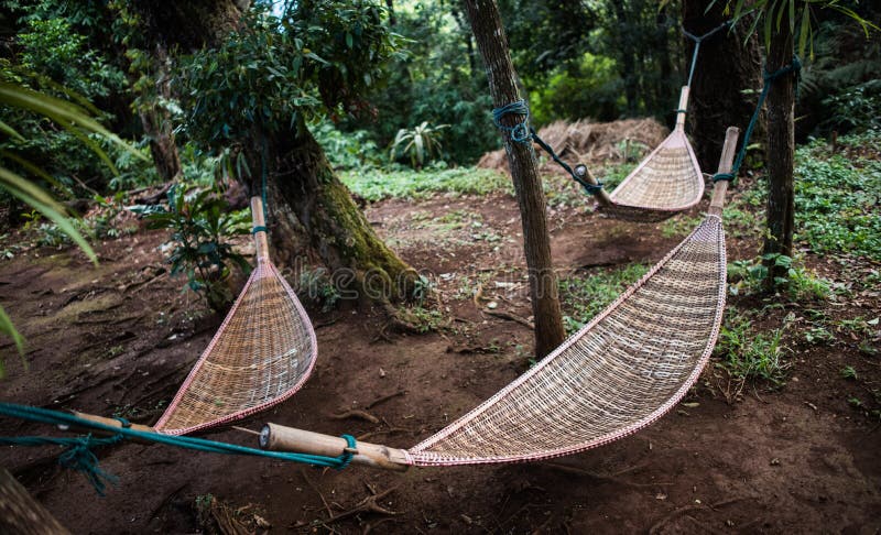 Natural Weave Hammock in Forest Stock Image - Image of weave, moisture ...