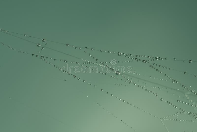 Natural web background stock photo. Image of nature, circle - 82565580