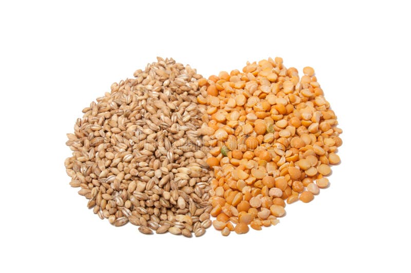Natural wheat grain stock image. Image of organic, protein - 113787543