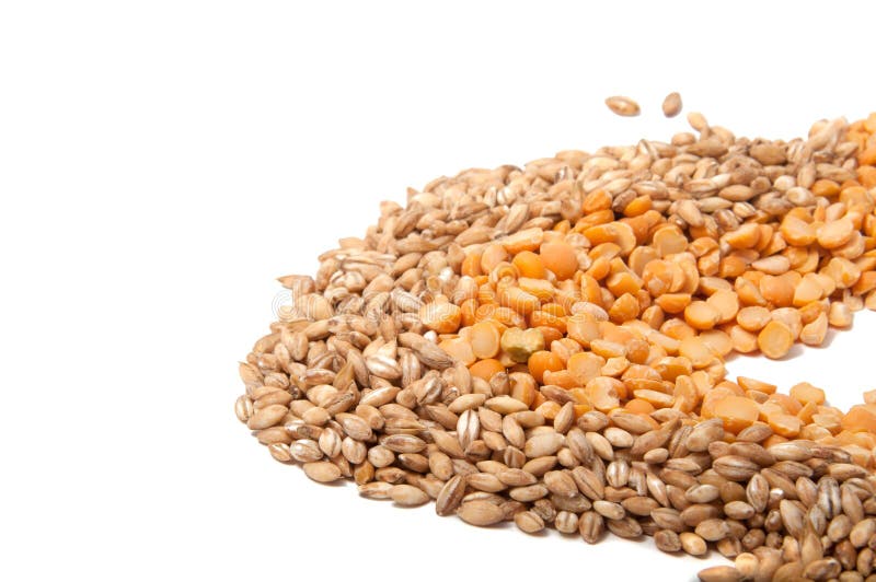 Natural wheat grain stock photo. Image of plant, isolated - 113787562