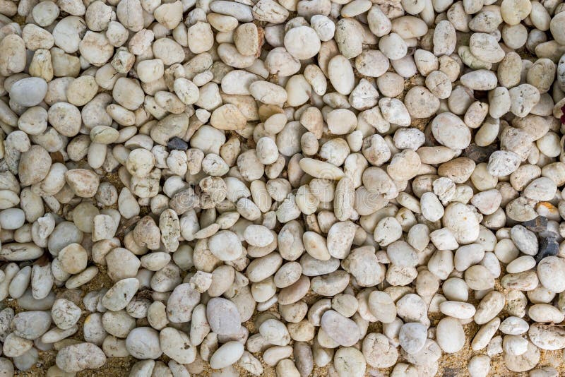 Natural white pebbles stock photo. Image of shape, circle - 94115256