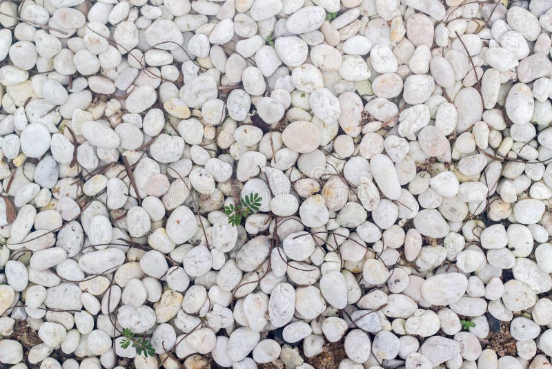 Natural white pebbles stock image. Image of health, wallpaper - 209470307
