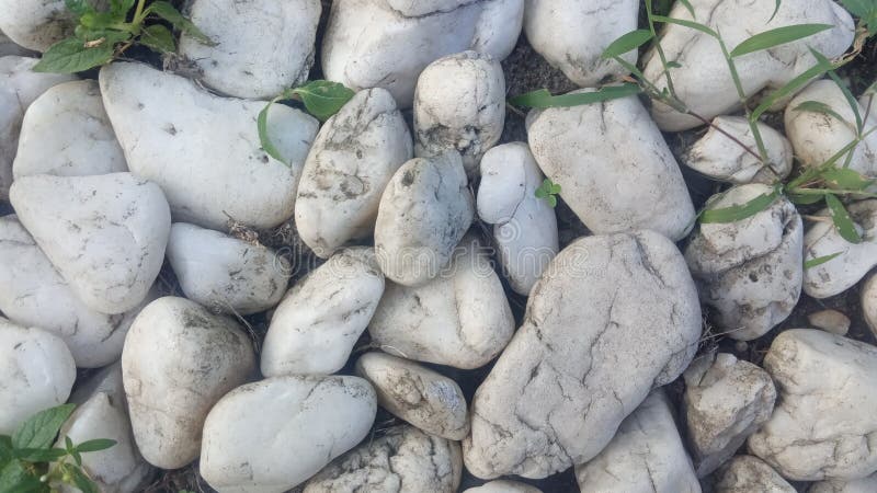 Natural White Stone Surface with Soil and Grass Stock Image - Image of ...
