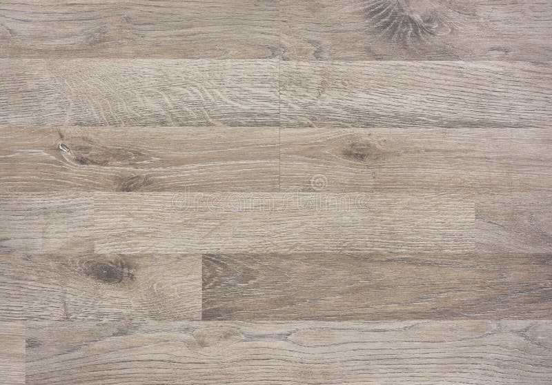 Natural White Wood Texture Background. Wood Background Stock Image ...