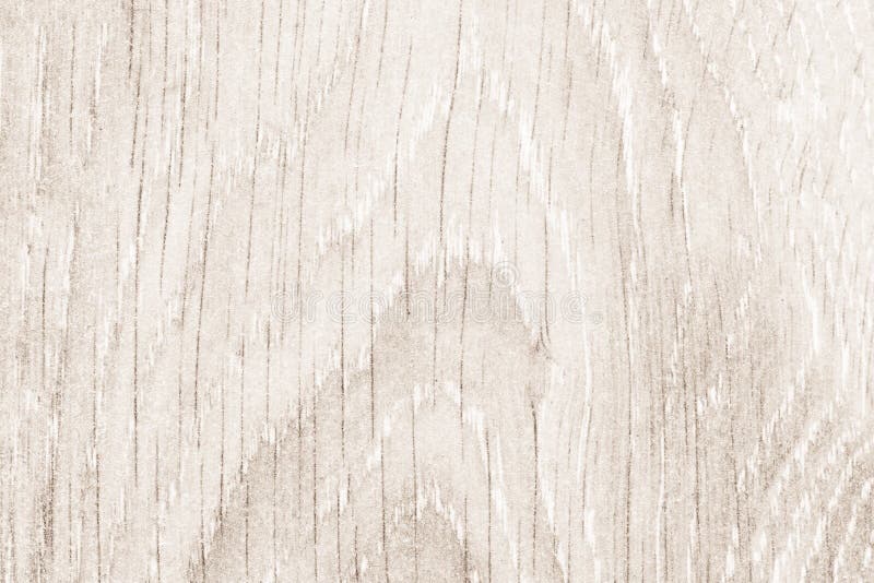 White Wood Texture for Your Great Designs Stock Photo - Image of light ...