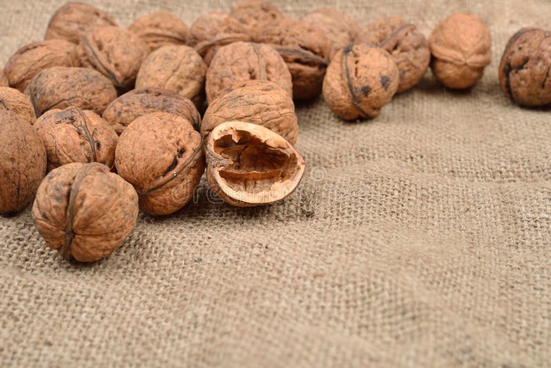 Natural, Whole Nuts and Half Empty Shell on a Jute Bag Background ...