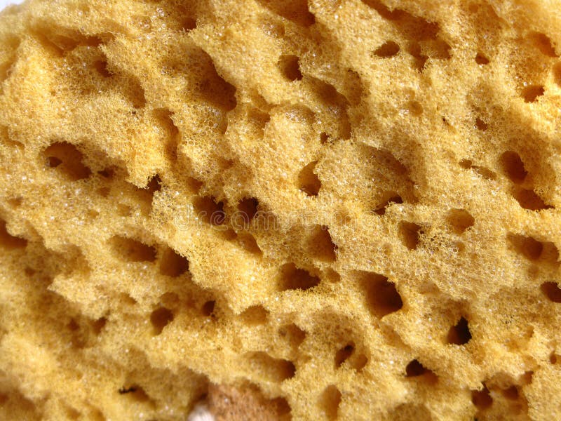 Close-up of Sprayed on PU-Foam Insulation Stock Photo - Image of macro ...