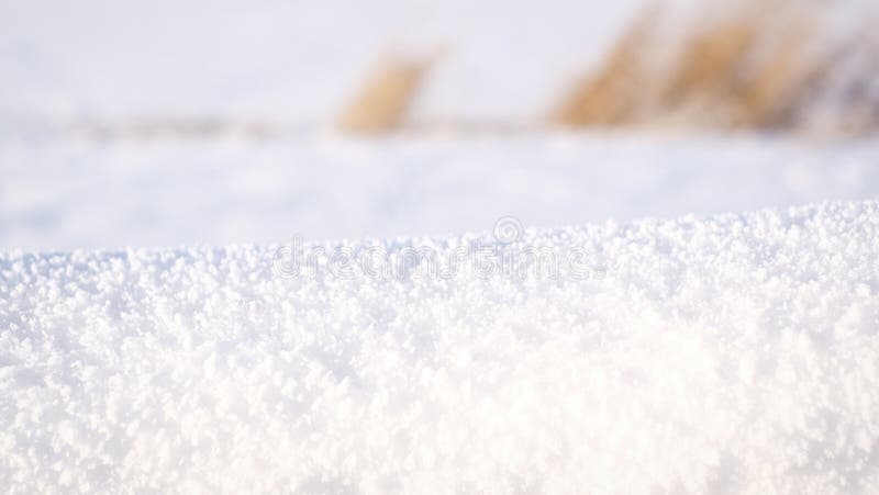 Natural Winter Background from Snow Falling on the Ground Stock Image ...