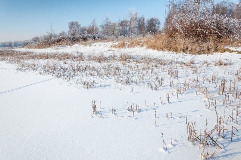 Natural winter landscape stock image. Image of dutch - 36874897