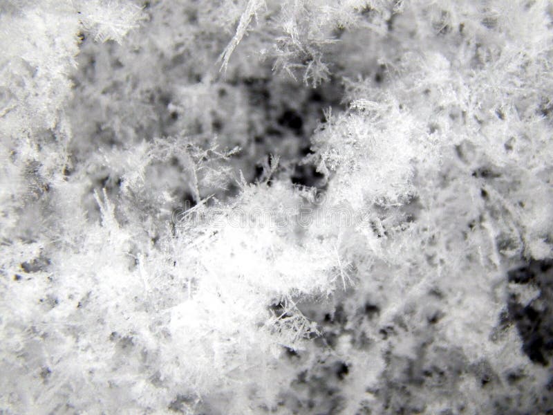 Natural Winter Snowflakes on a Dark Background Stock Photo - Image of ...