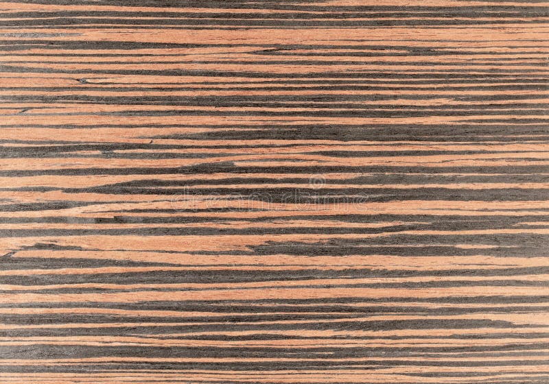 Heban Stock Photos - Free & Royalty-Free Stock Photos from Dreamstime