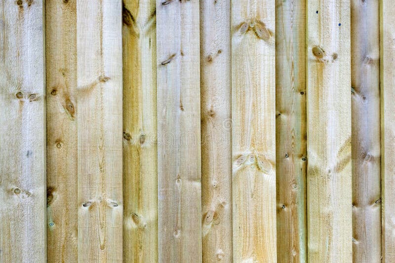 Natural Wood Background Texture with White Patterns for High Resolution ...