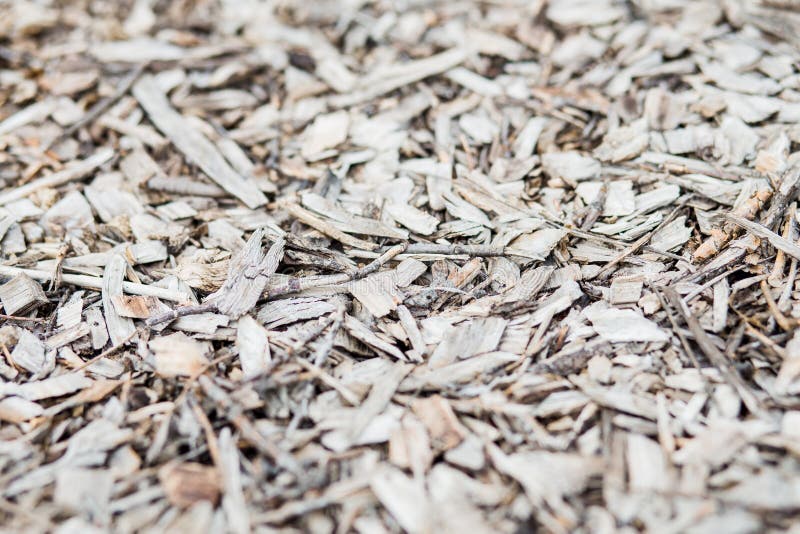 Natural Wood Chips, the Texture of the Chips Stock Image - Image of ...