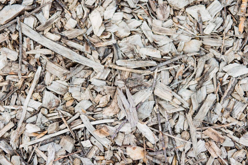Natural Wood Chips, the Texture of the Chips Stock Image - Image of ...