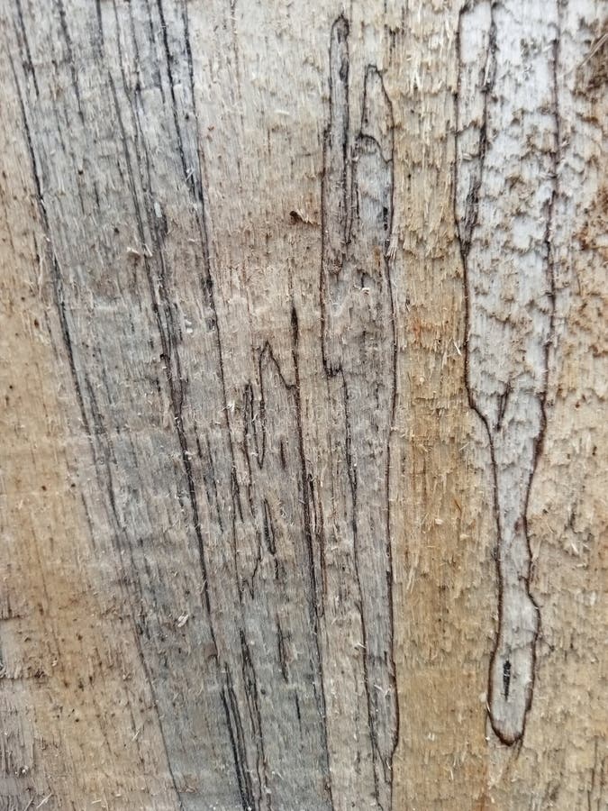 Natural and Natural Wood Fiber Created by God Stock Image - Image of ...