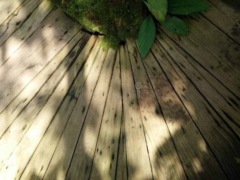 Natural stock image. Image of texture, wood, floor, sunlight - 48369931