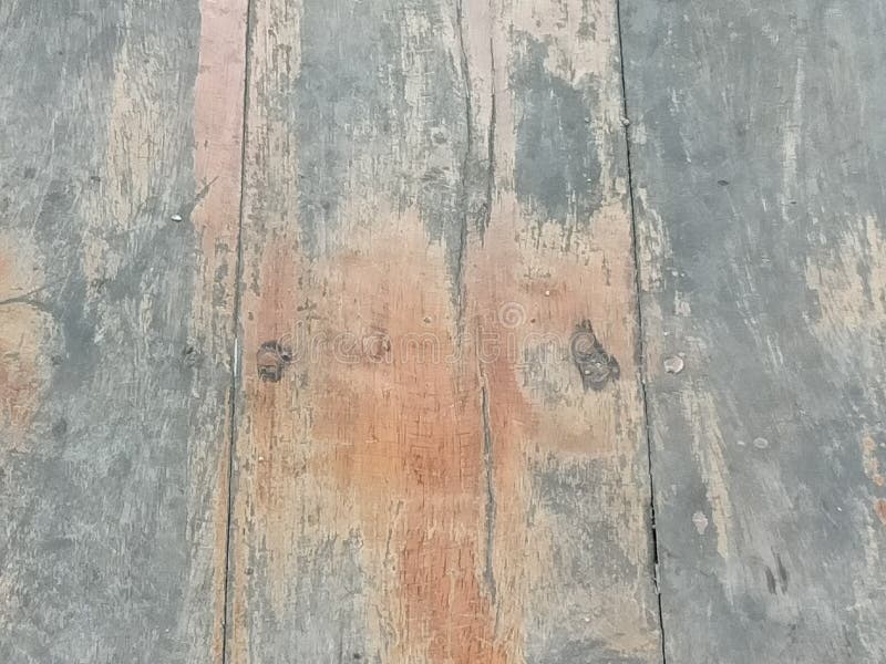 Wood Ordinary Sep and Friends Stock Image - Image of field, forest ...