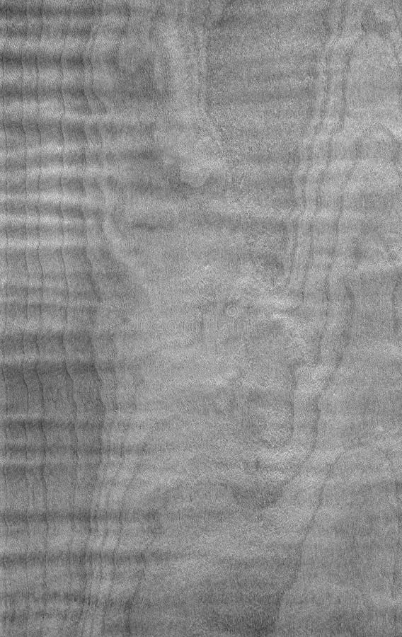 Natural Wood Pattern Background, Monotone Color Stock Image - Image of ...