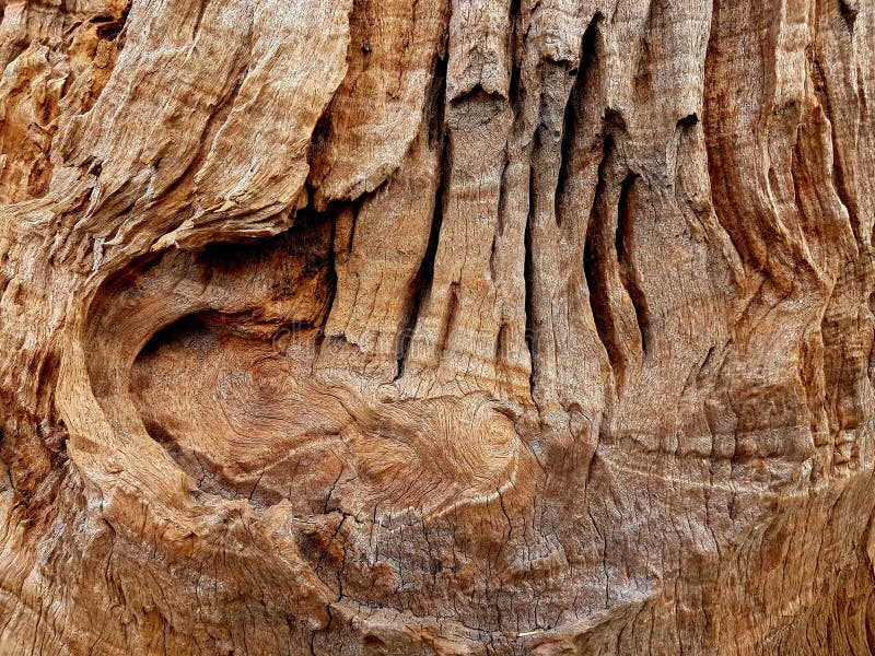 Natural wood pattern stock image. Image of grain, texture - 134600017