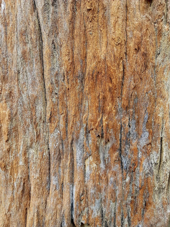 Natural wood pattern stock image. Image of beautiful - 134600039
