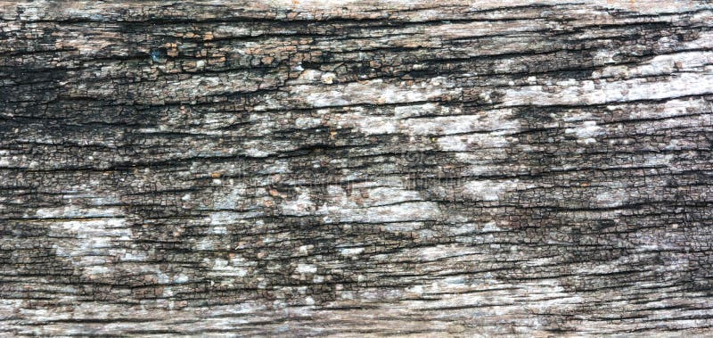 Natural Wood Patterns, Colors and Patterns Stock Image - Image of ...