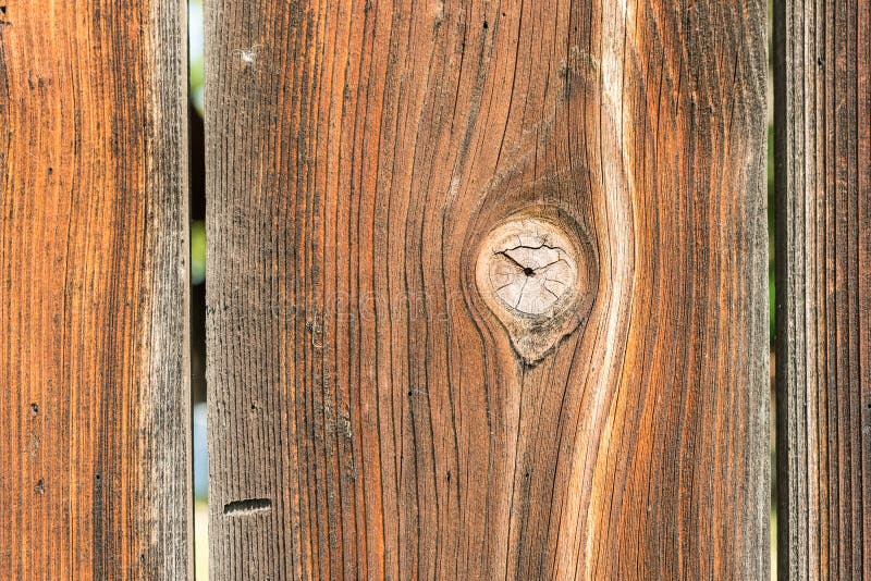Natural Wood Plank Texture stock photo. Image of structure - 45338362