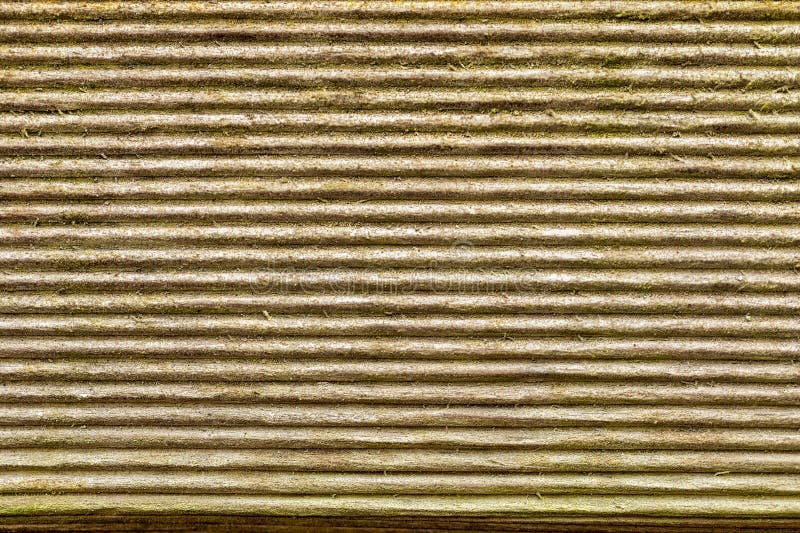 Natural Wood Profile Texture Background for Design Projects Stock Photo ...