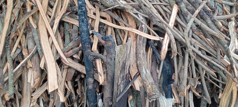 Natural Wood Texture with Branches and Sticks for Rustic Background ...