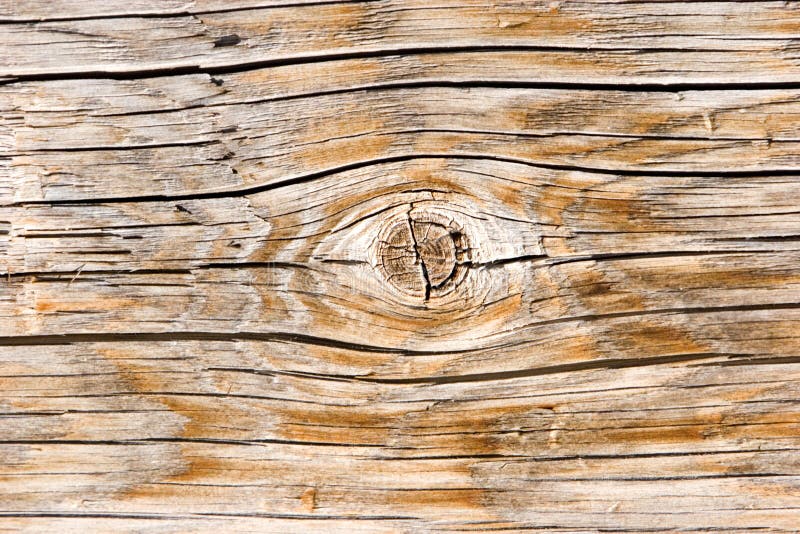 Natural Wood Texture Closeup Stock Photo - Image of aged, abstract: 4584984
