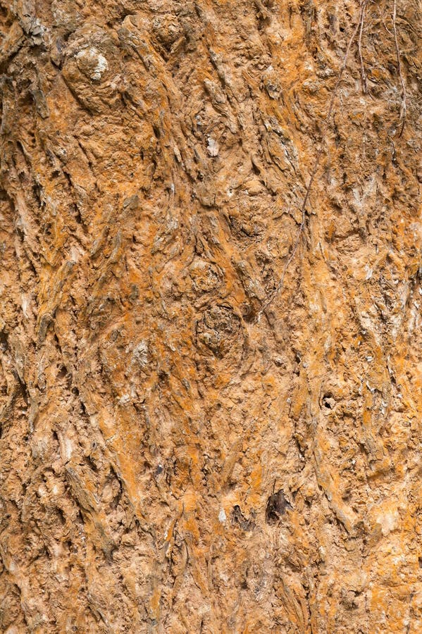 Natural Wood Texture stock image. Image of line, board - 72376539