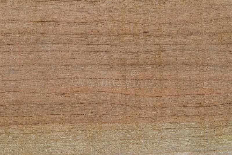 Natural Wood for Use As a Background Stock Photo - Image of light ...
