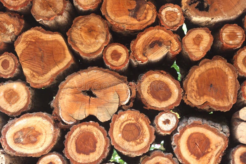 Natural Wooden Logs Background, Top View Stock Image - Image of ...