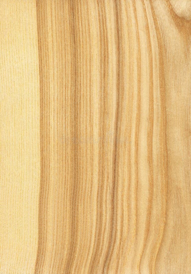 Natural Wooden Texture Background. Ash Wood Stock Image - Image of ...