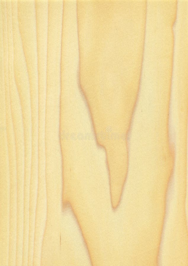 Poplar wood texture stock image. Image of smooth, grain - 30167157