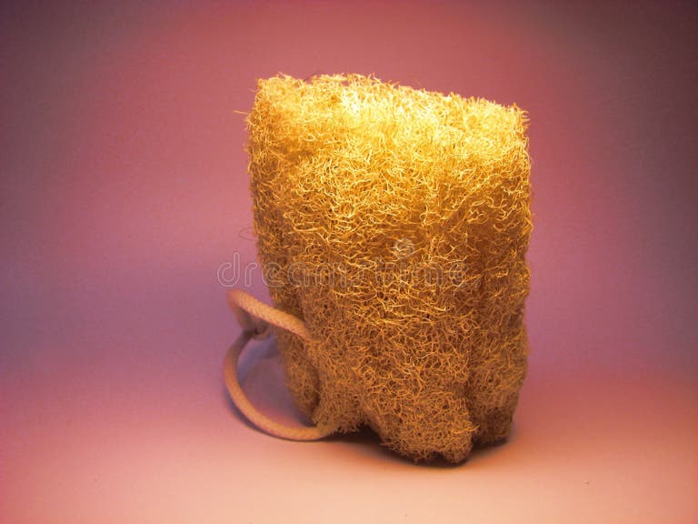 Natural yellow bath sponge stock image. Image of string - 2625399