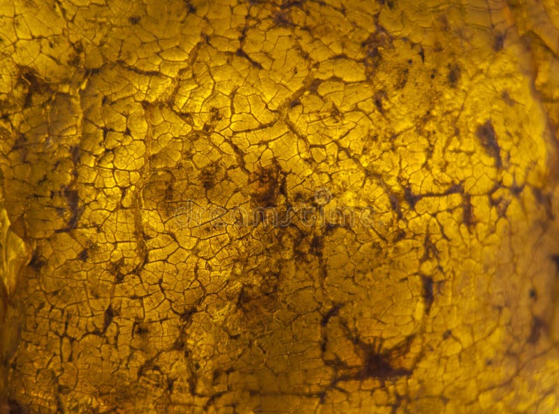Natural yellow resin stock image. Image of chemistry - 47668853