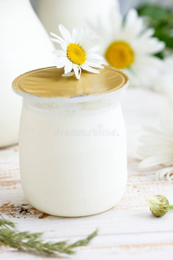 Natural yogurt stock image. Image of white, food, natural - 25903553