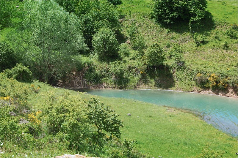 Naturalistic Picture. Image: 5504964