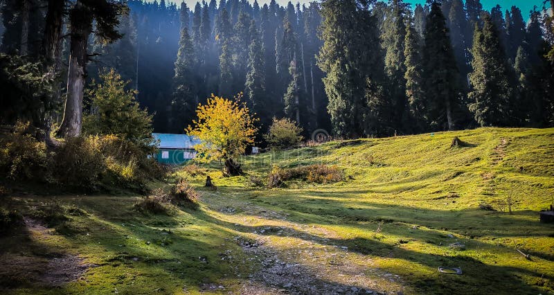 Naturally Background Green Valley in the Mountains with White Clouds ...