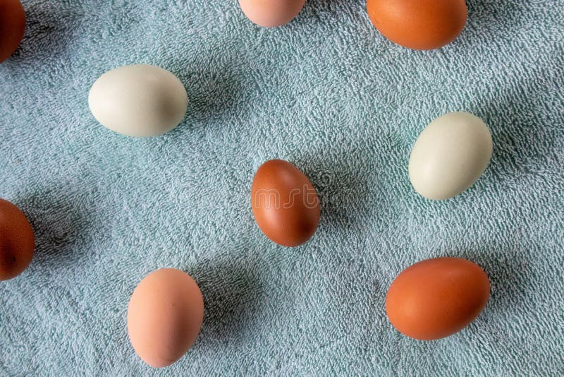 Naturally Colorful Chicken Eggs in a Pattern on a Blue Background Stock ...