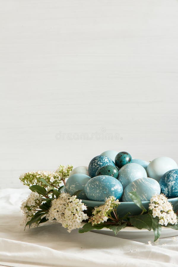 Naturally Dyed Easter Blue Eggs, Surrounded by White Flowers. Stock ...