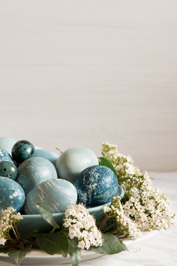 Naturally Dyed Easter Blue Eggs, Surrounded by White Flowers. Stock ...
