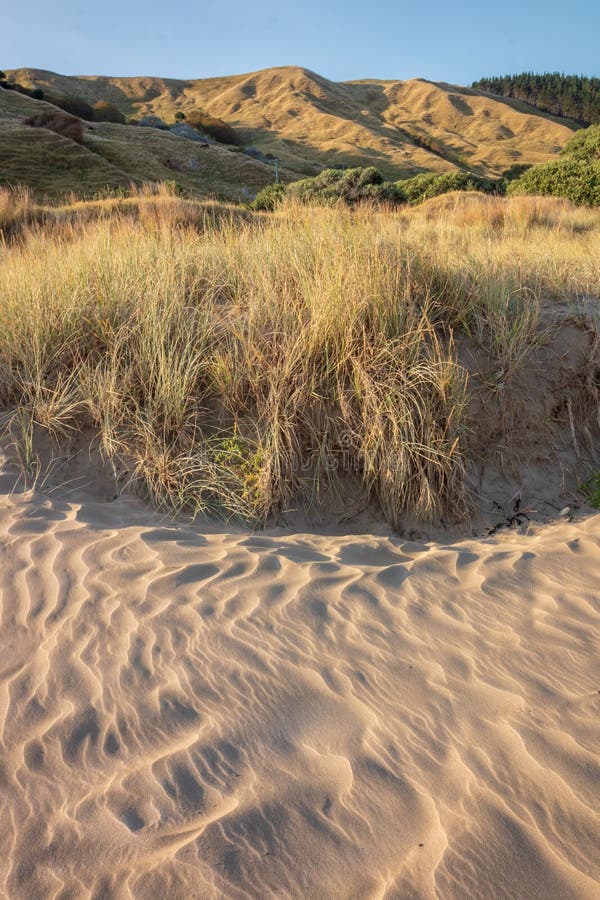 Naturally Occuring Patterns in Sand Stock Photo - Image of illusion ...
