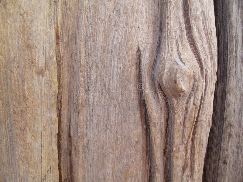 Naturally weathered wood stock photo. Image of tiled - 26486060