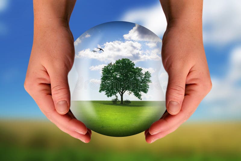 Organic, Nature Circle Orb Icon Stock Illustration - Illustration of ...