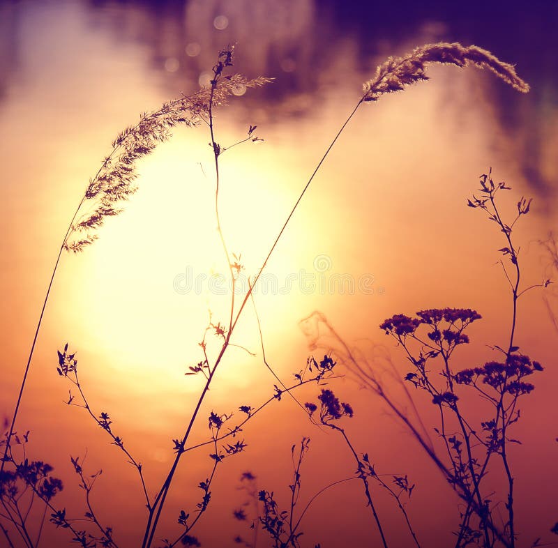 Nature stock photo. Image of color, lake, deep, nature - 18361778