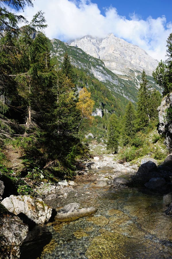 Nature stock photo. Image of forest, view, great, cloud - 22430874